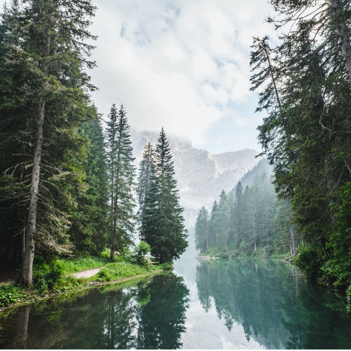 Protect the Environment – Changing The Present